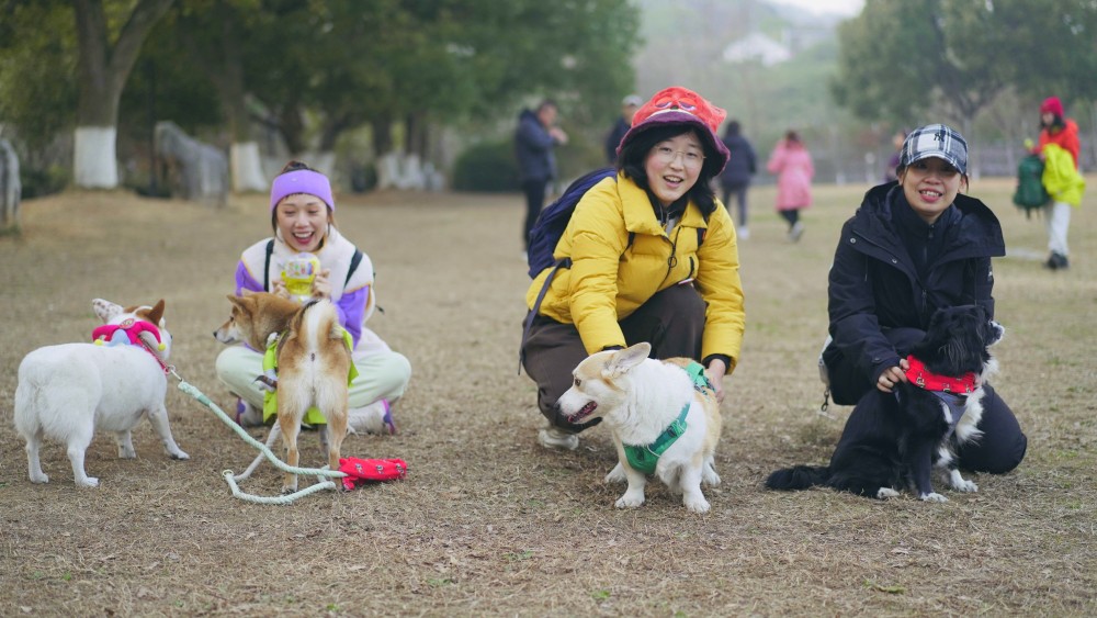 汪汪GO·狗子森林迎新年 与毛孩共赴新年之约-游侠客旅行