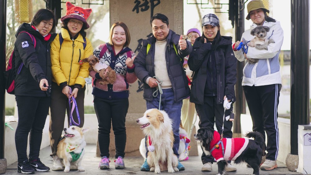 汪汪GO·狗子森林迎新年 与毛孩共赴新年之约-游侠客旅行
